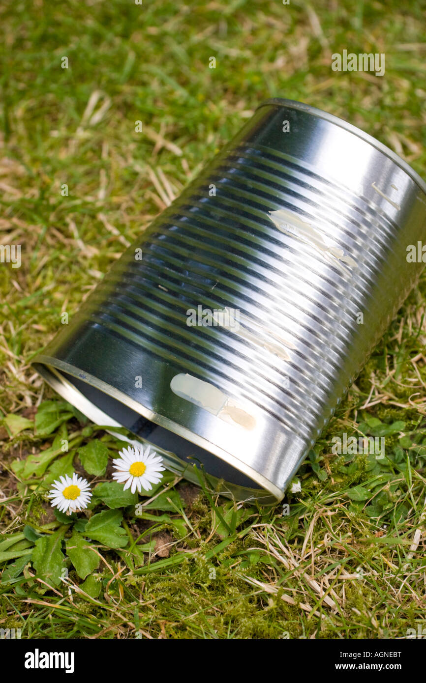 Discarded crushed tin can on the ground beside a flower Stock Photo - Alamy