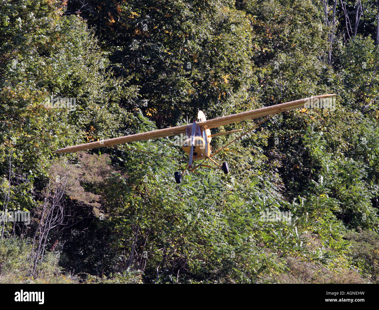 A Piper Cub coming in dead stick. Engine shut off Stock Photo - Alamy