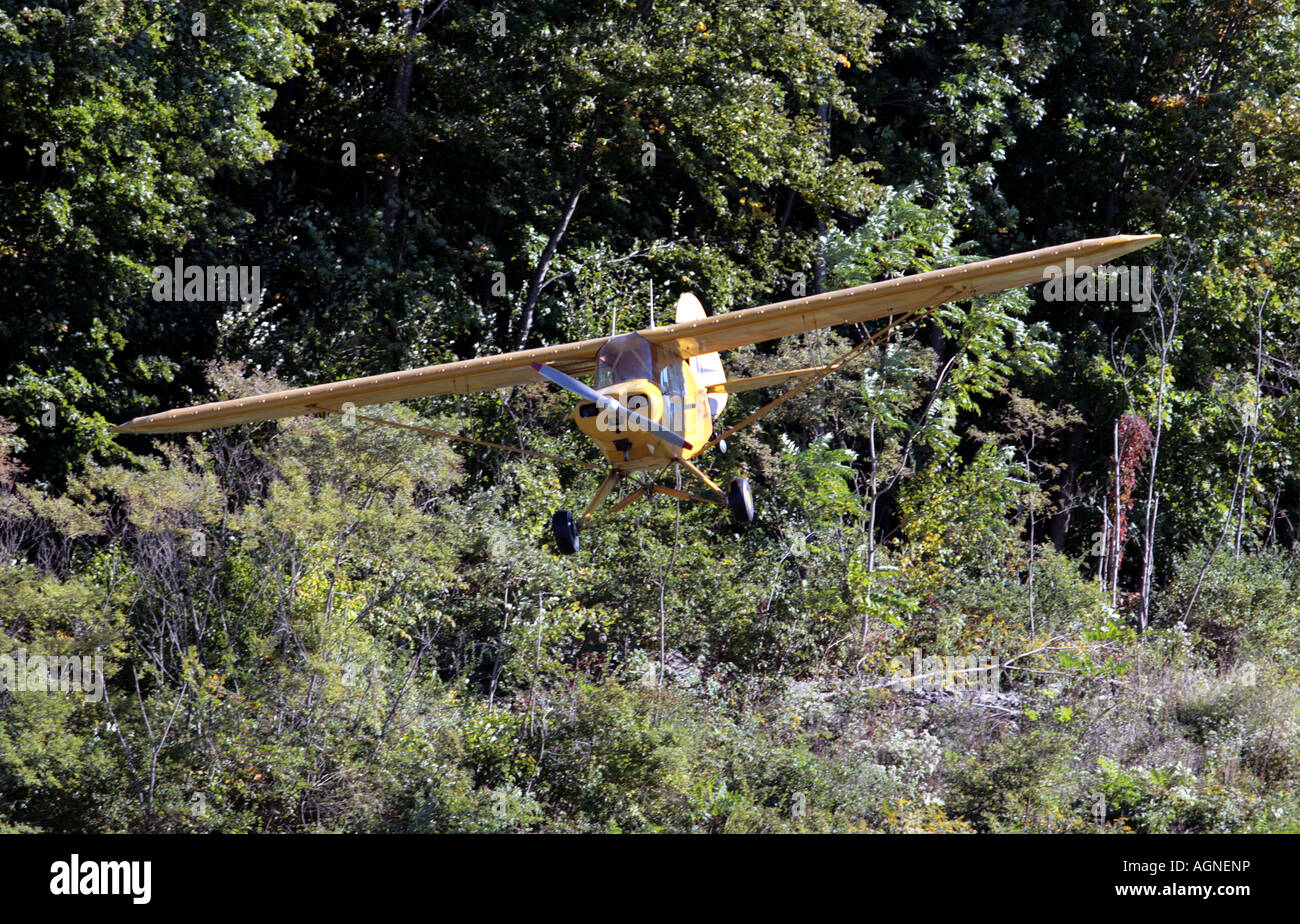 A Piper Cub coming in dead stick. Engine shut off Stock Photo - Alamy