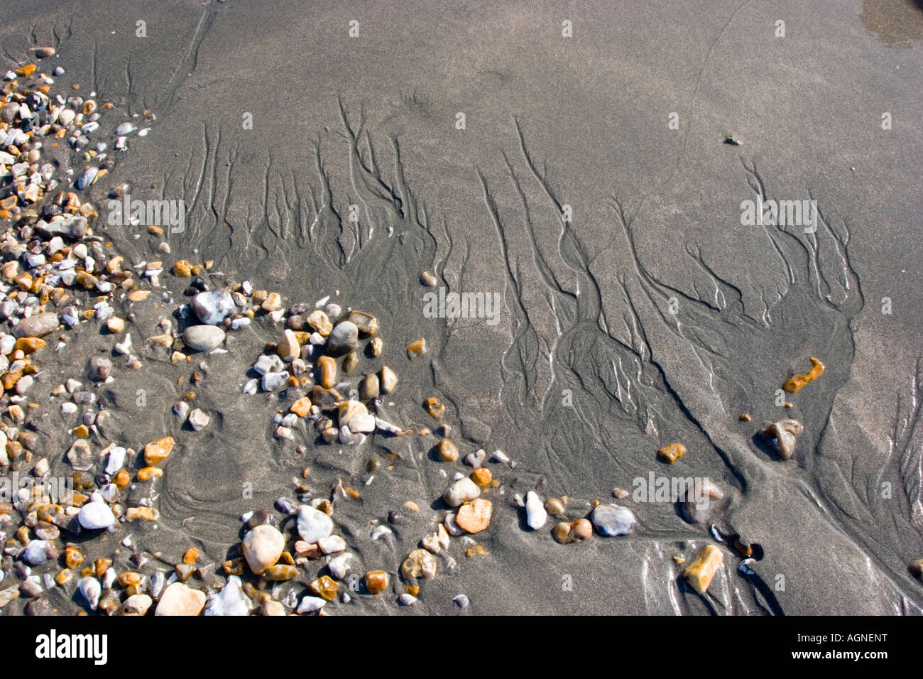 Stones pebbles and water channels on the beach Stock Photo - Alamy