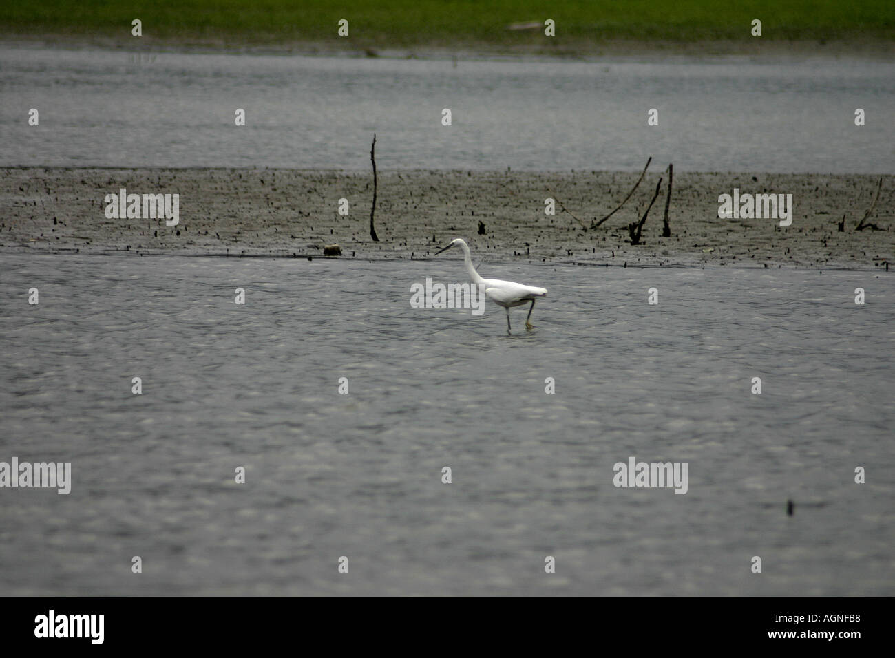Week end at the lake hi-res stock photography and images - Alamy