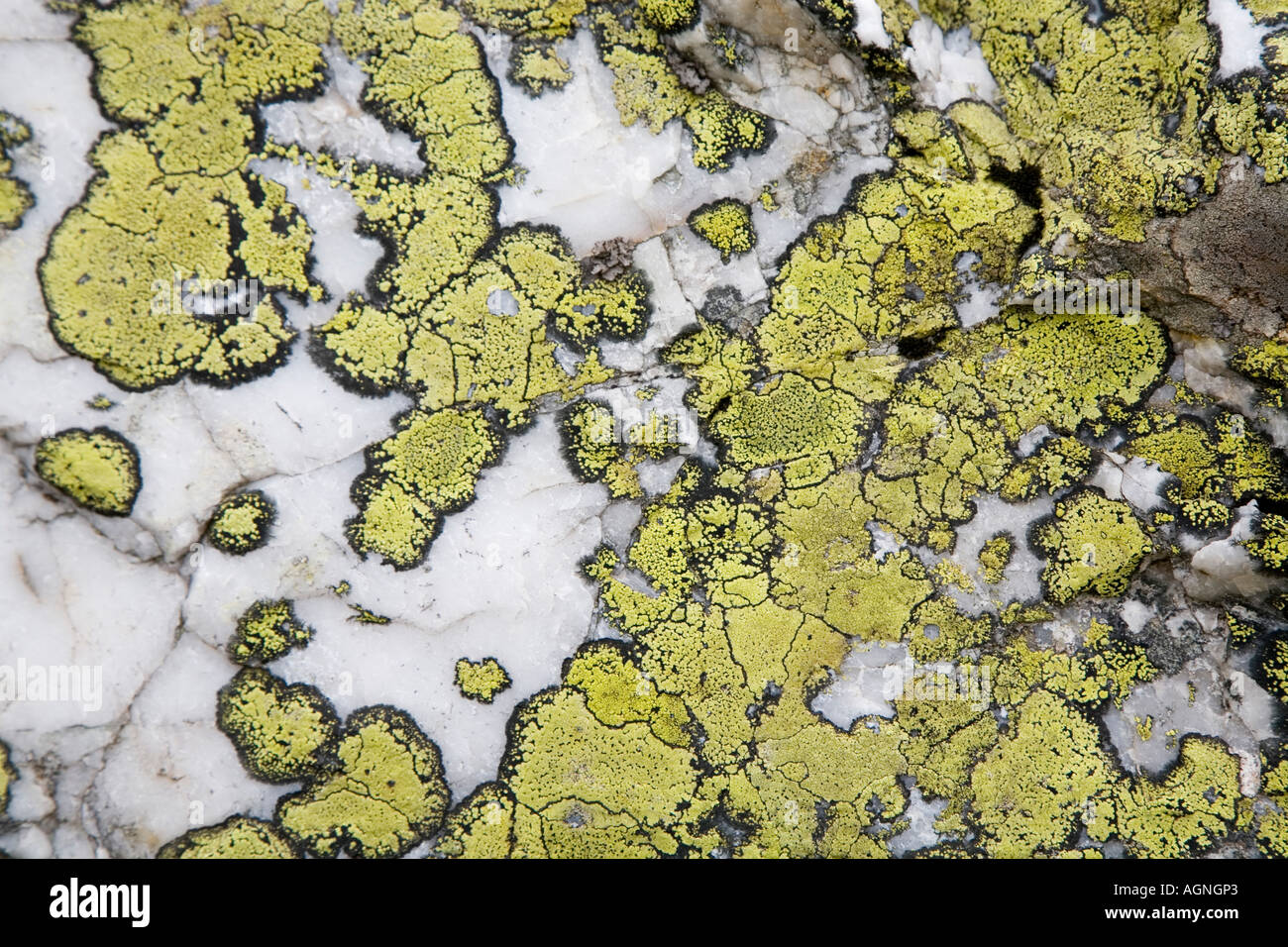 Surface of a stone - structure Stock Photo - Alamy