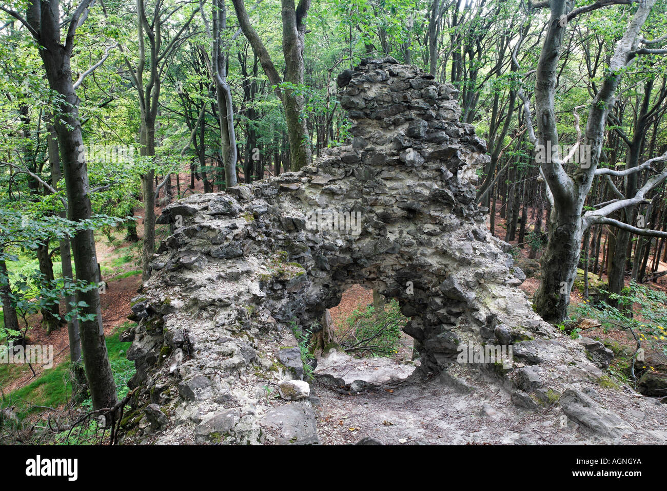 Frauenstein Castle High Resolution Stock Photography and Images - Alamy