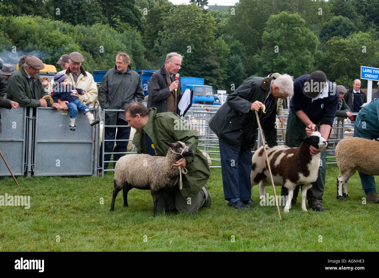 Sheep judging and spectators at the Border Union Show Kelso Scottish ...