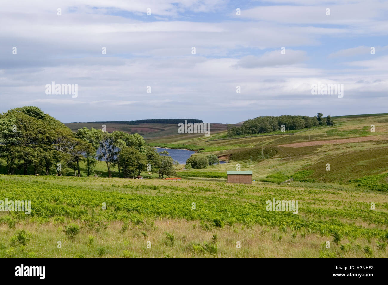 Watch Water reservoir Scottish Borders on the Southern Upland Way Stock ...