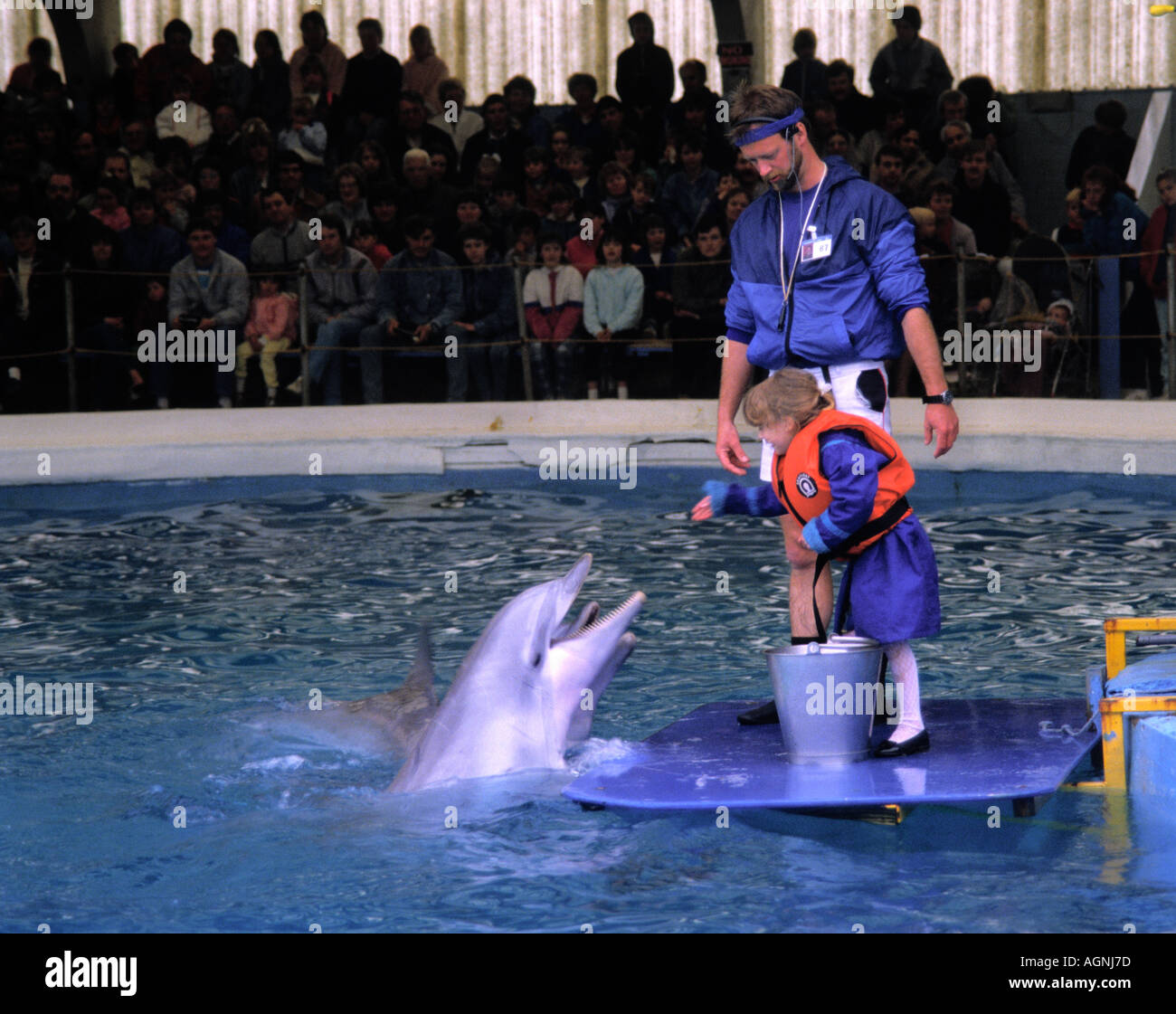 Dolphin keeper feeding hi-res stock photography and images - Alamy