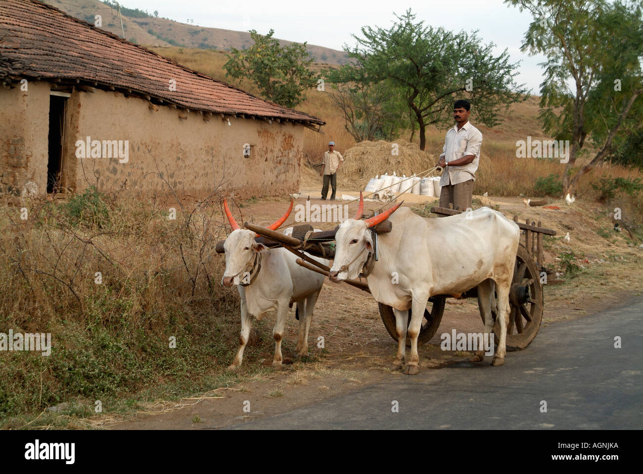 Indian bullock cart hi-res stock photography and images - Alamy