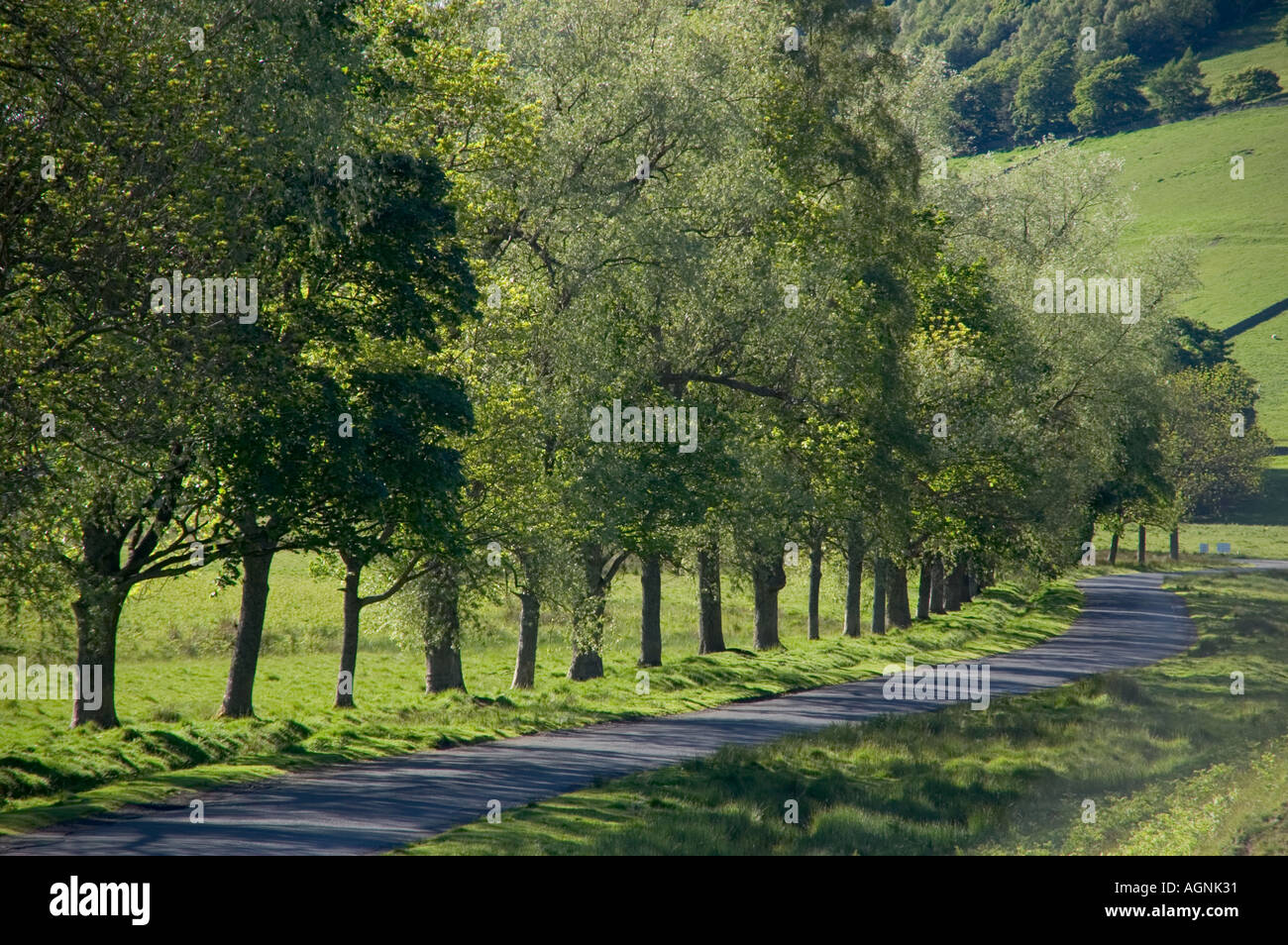 Innerleithen Tweeddale Scottish Borders UK Leithen Water descends to ...