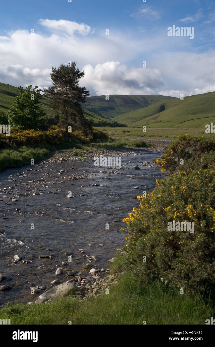 Glentress tweed hi-res stock photography and images - Alamy