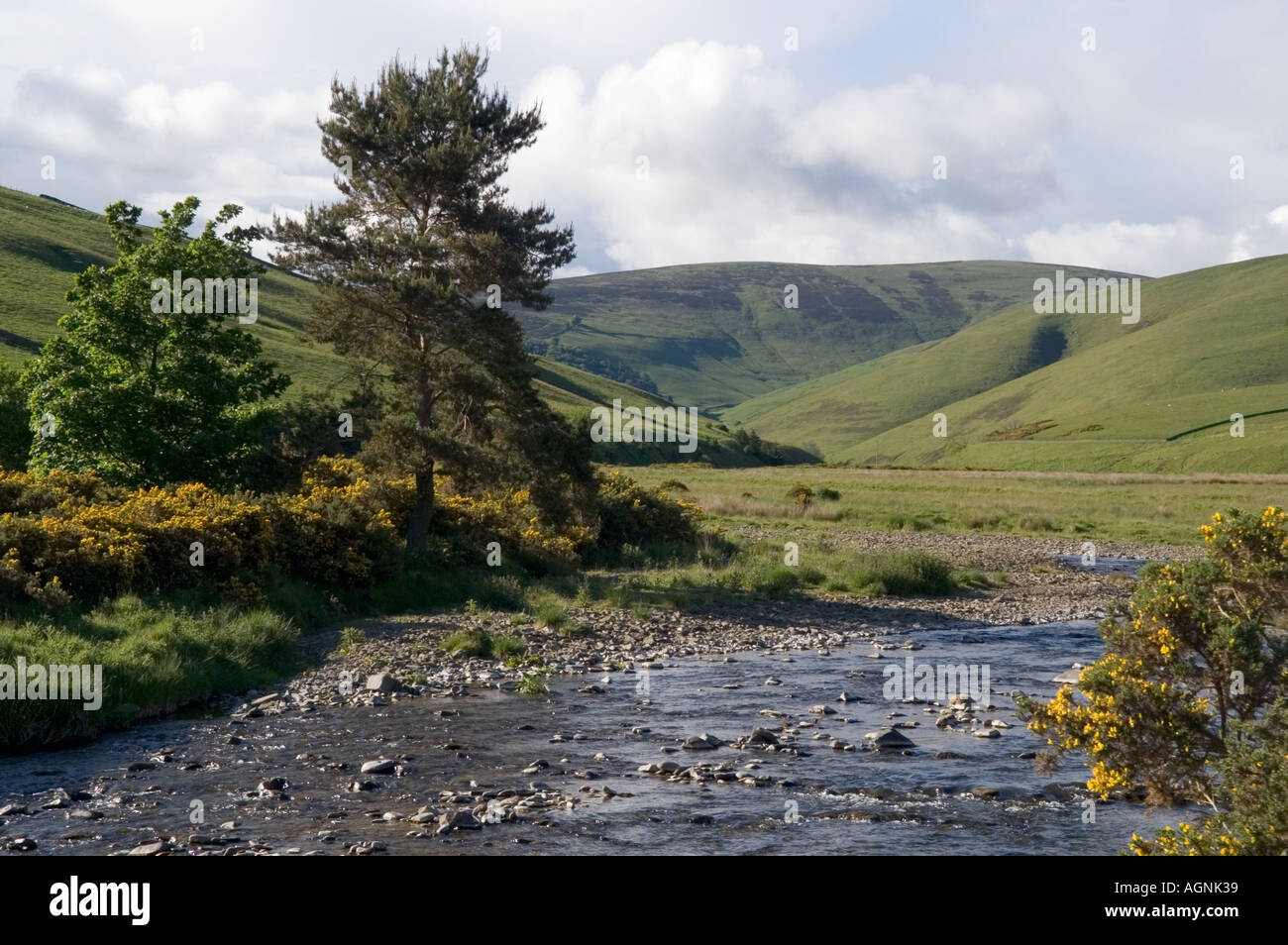 Glentress tweed hi-res stock photography and images - Alamy