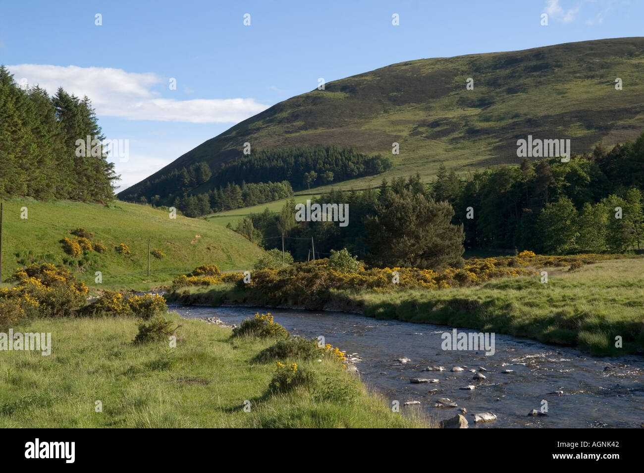 Leithen water hi-res stock photography and images - Alamy