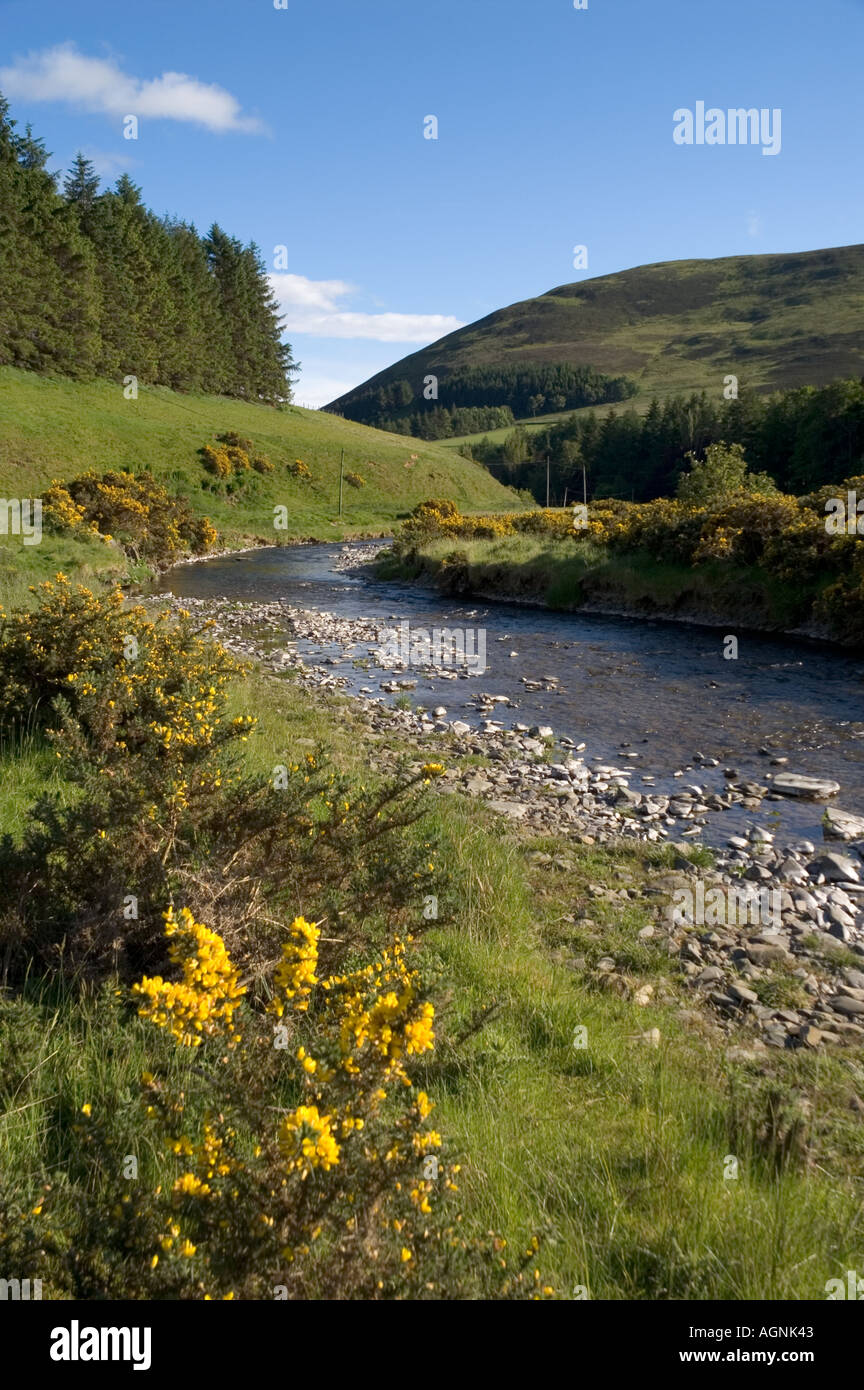 Glentress tweed hi-res stock photography and images - Alamy