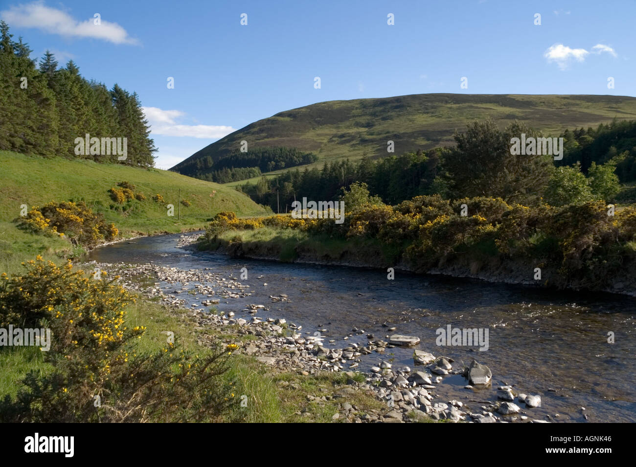 Glentress water hi-res stock photography and images - Alamy