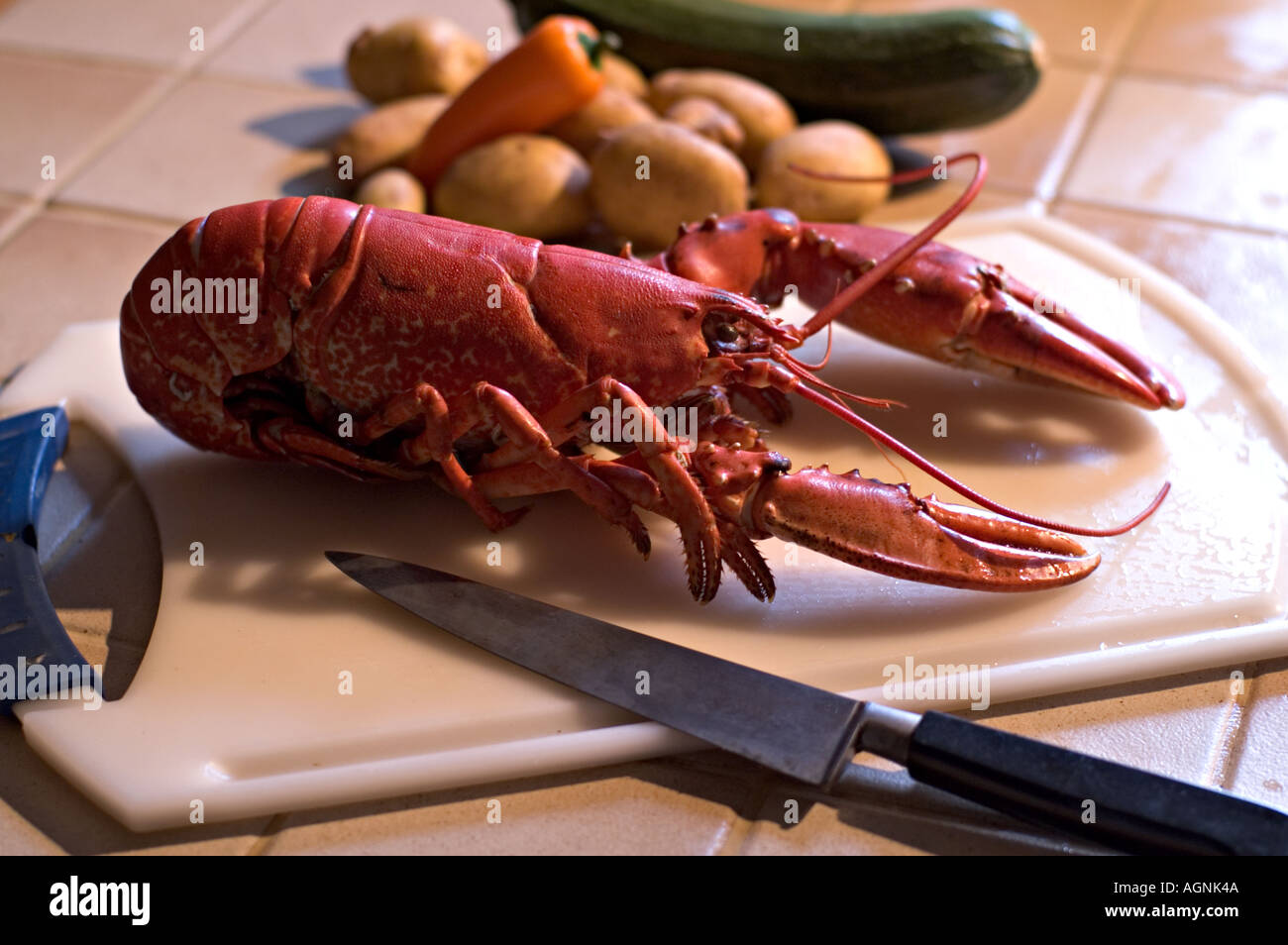 Preparing Scottish Eyemouth North Sea lobster Stock Photo - Alamy