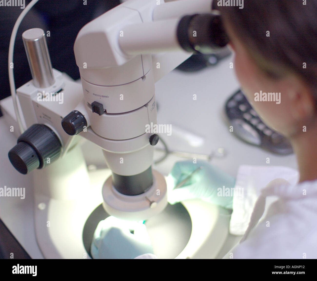 Microscope being used in Office Lab Stock Photo - Alamy