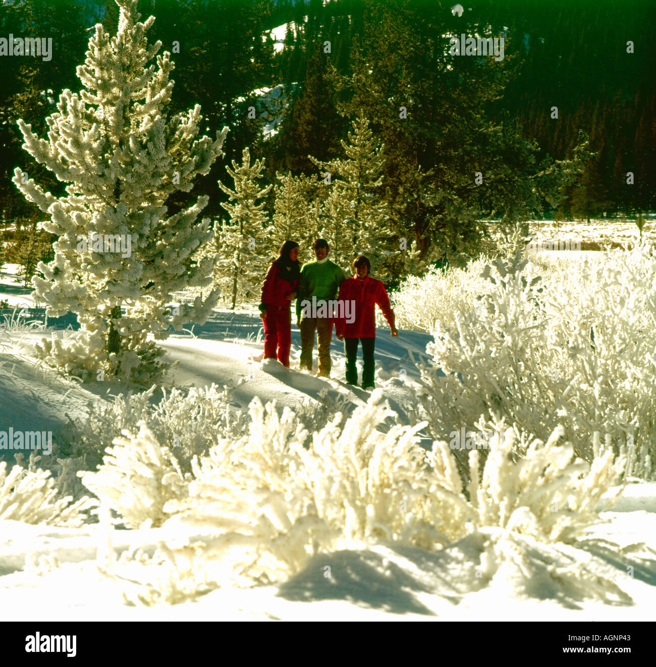 Frosty siblings hi-res stock photography and images - Alamy