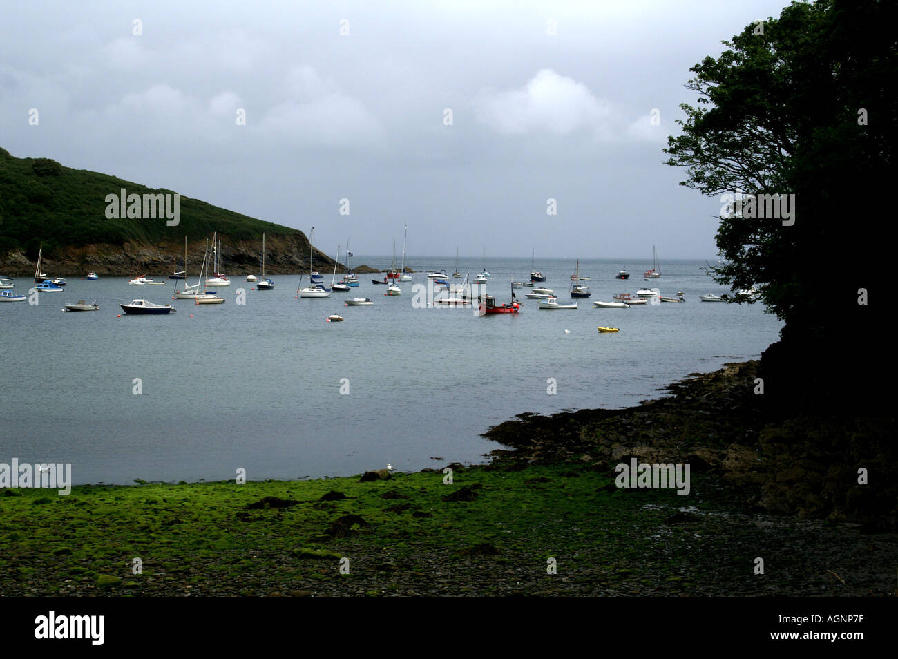 Dennis Head Gillan harbour St Anthony in Meneage Cornwall England ...
