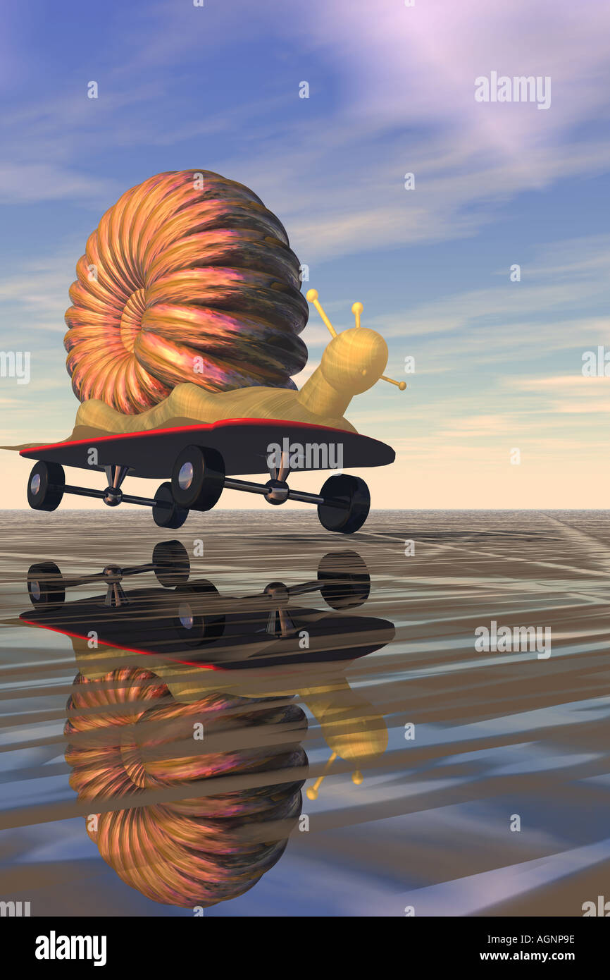 Snail ride hi-res stock photography and images - Alamy