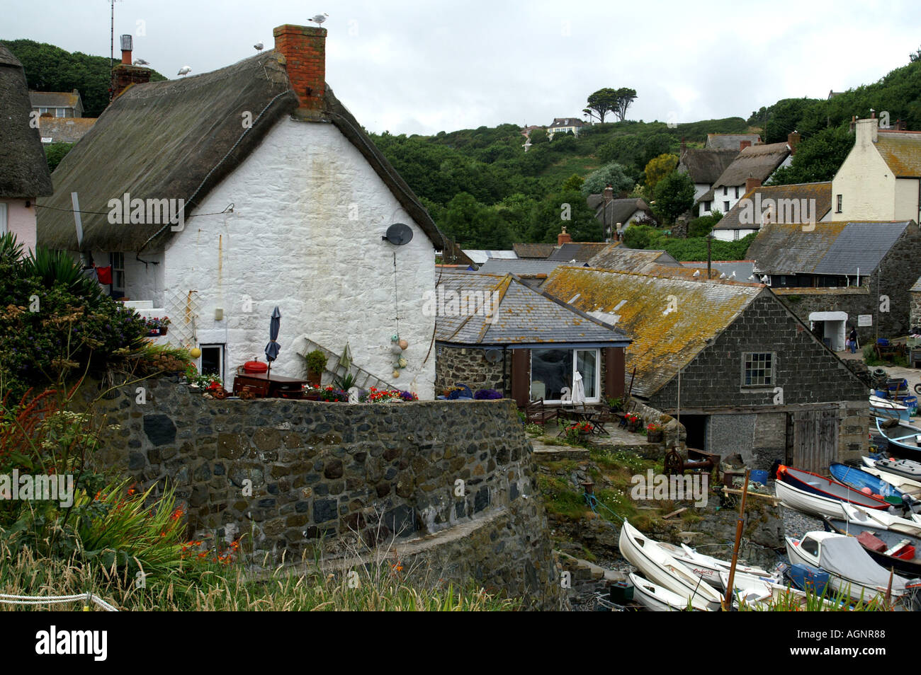 Cadgwith fishing cove trust hi-res stock photography and images - Alamy