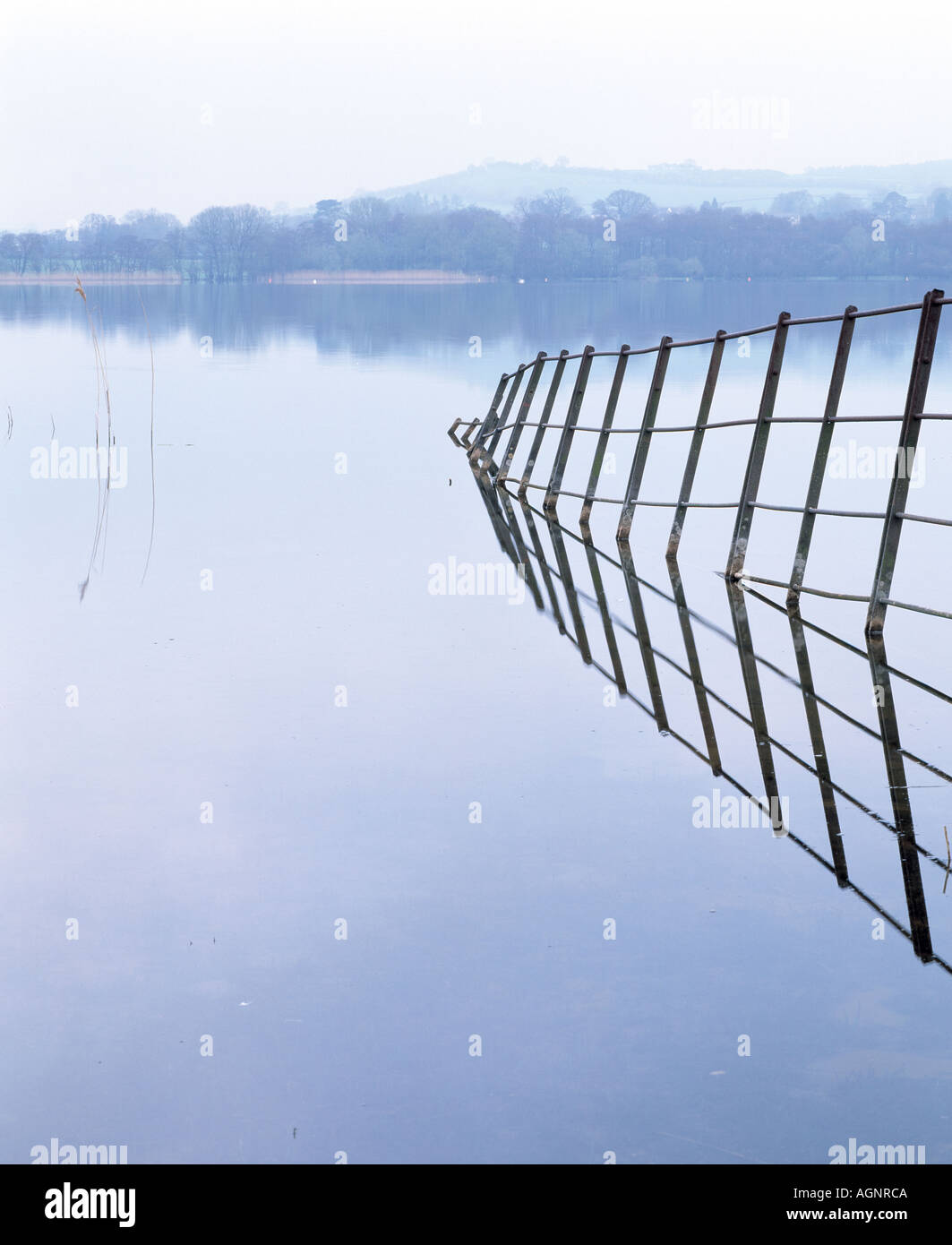 Abstract of iron fence with reflections leading into lake Stock Photo ...
