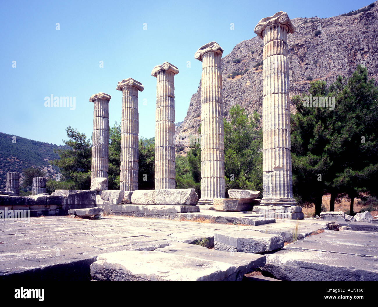 Aphrodite hi-res stock photography and images - Alamy