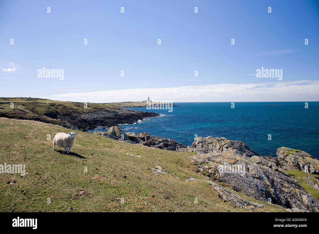 Lighthouse on Bardsey island North Wales Uniited Kingdom Stock Photo ...