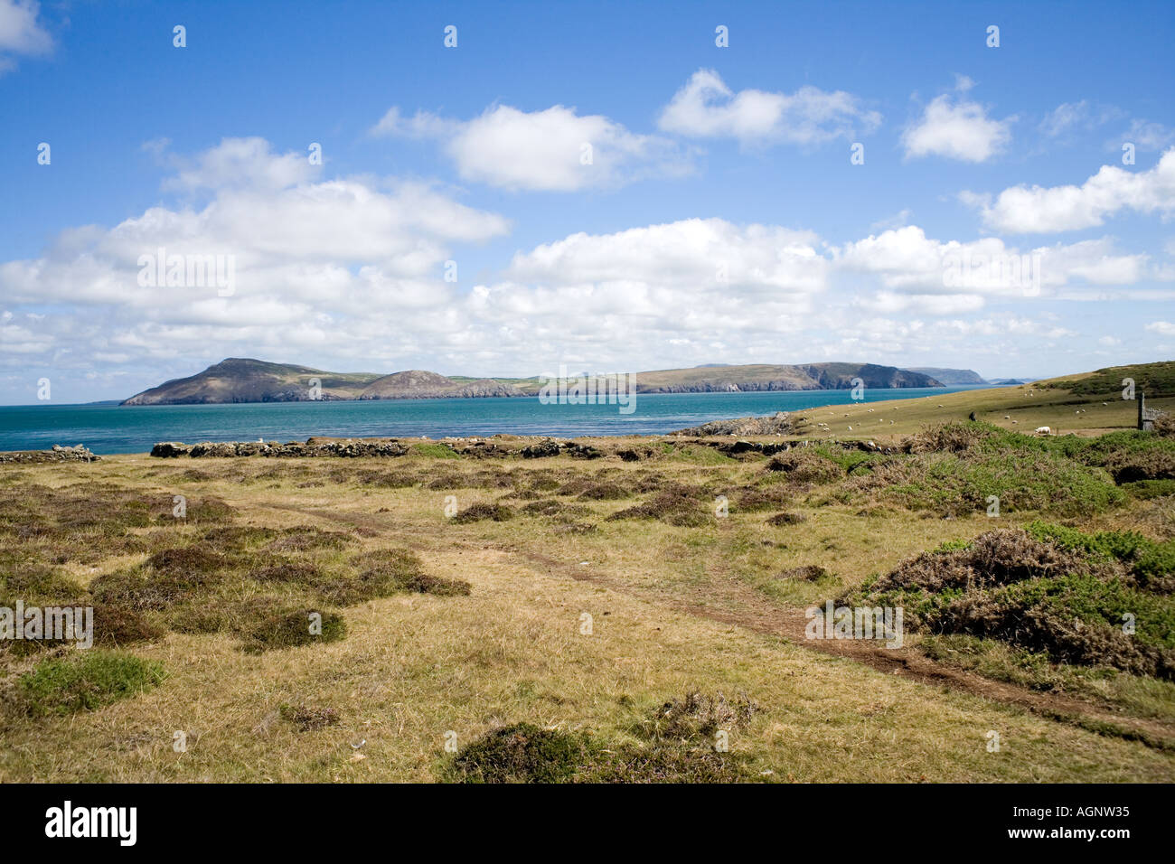 Bardsey island from mainland hi-res stock photography and images - Alamy