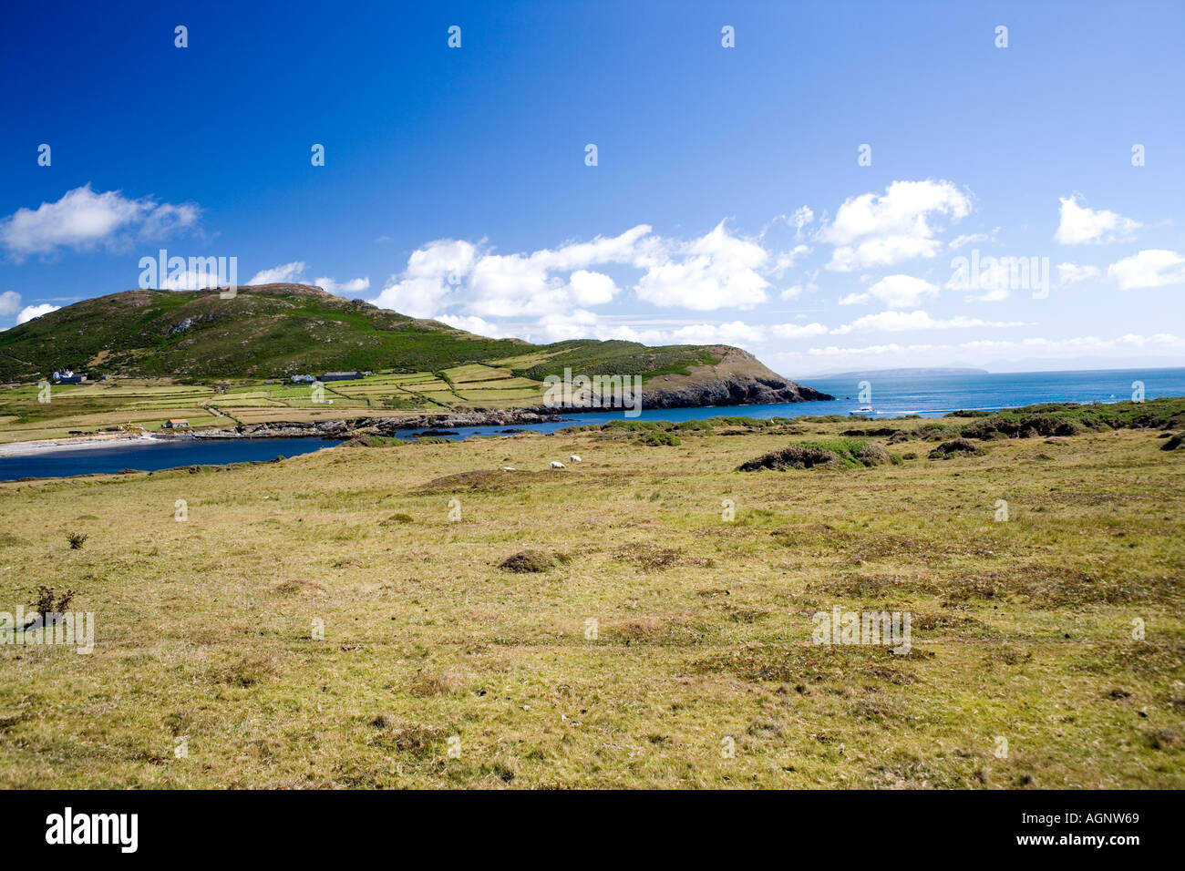 Bardsey island North Wales United Kingdom Stock Photo - Alamy