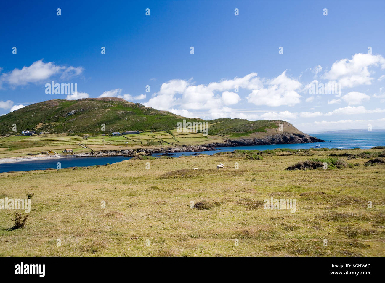 Mynydd enlli hi-res stock photography and images - Alamy