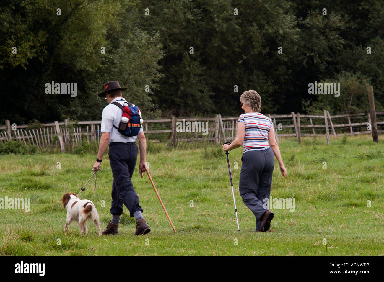 two middle aged Walkers and their dog walk between Historic Flatford ...