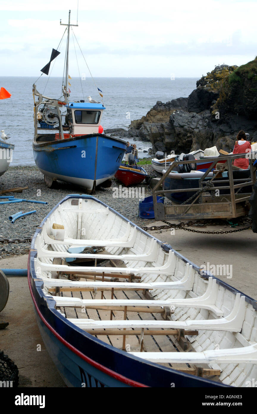 Cadgwith fishing cove trust hi-res stock photography and images - Alamy