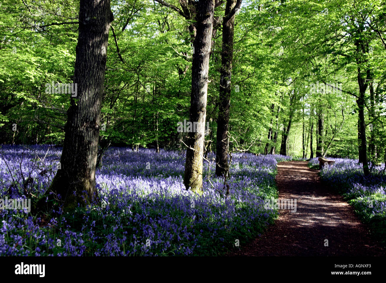 Blue Bell Walk Sussex England Stock Photo - Alamy