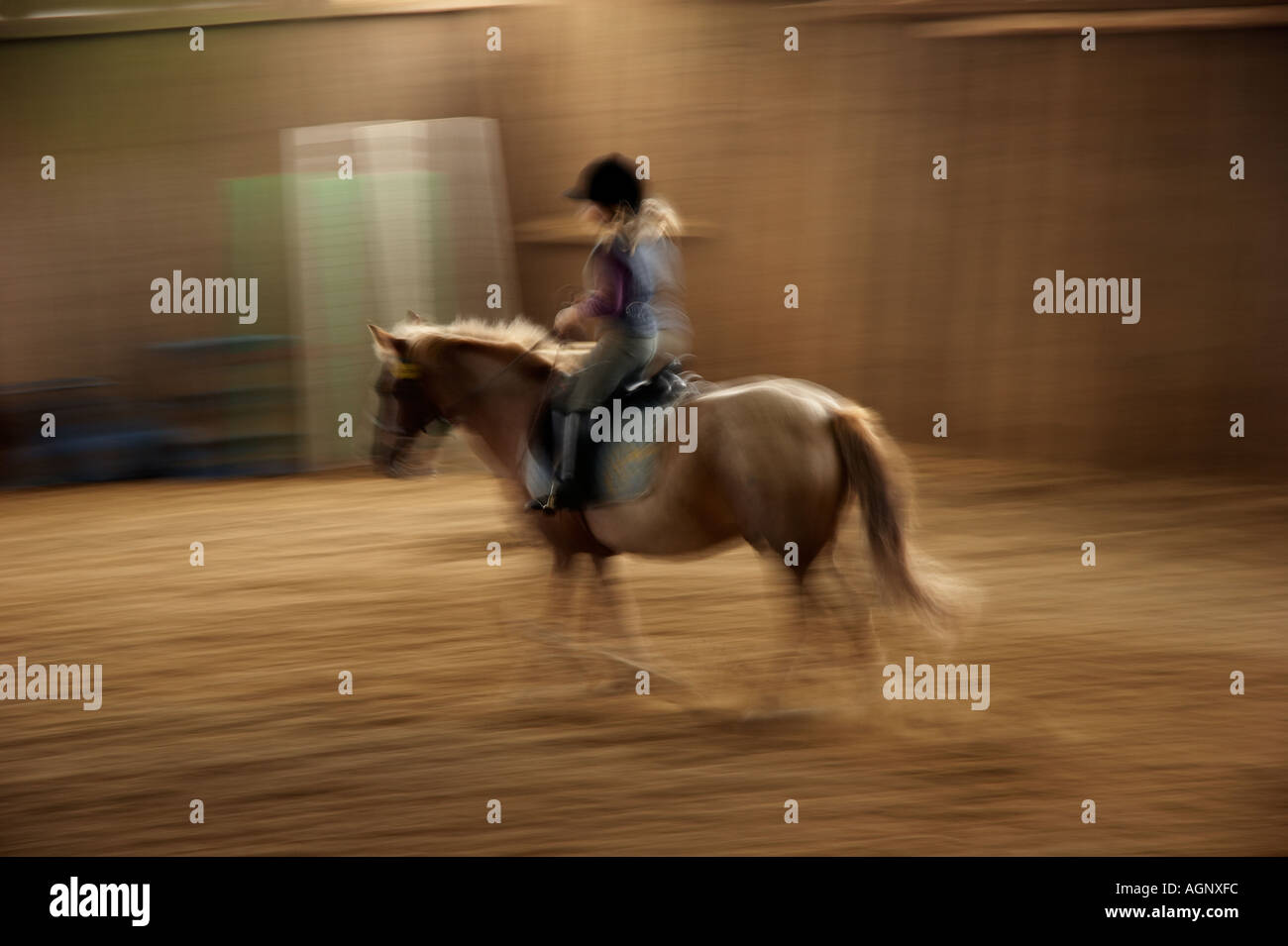 The riding school hi-res stock photography and images - Alamy