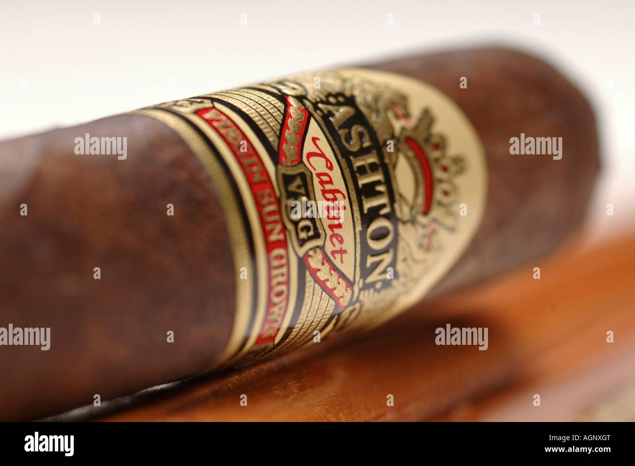 Close up of band on Ashton Virgin Sun Grown Robusto cigar Dominican ...