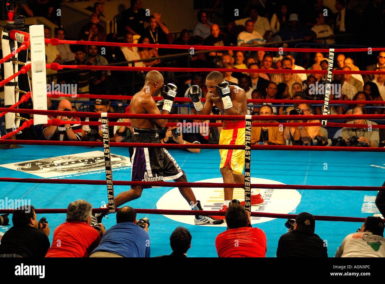 Middleweights hi-res stock photography and images - Alamy