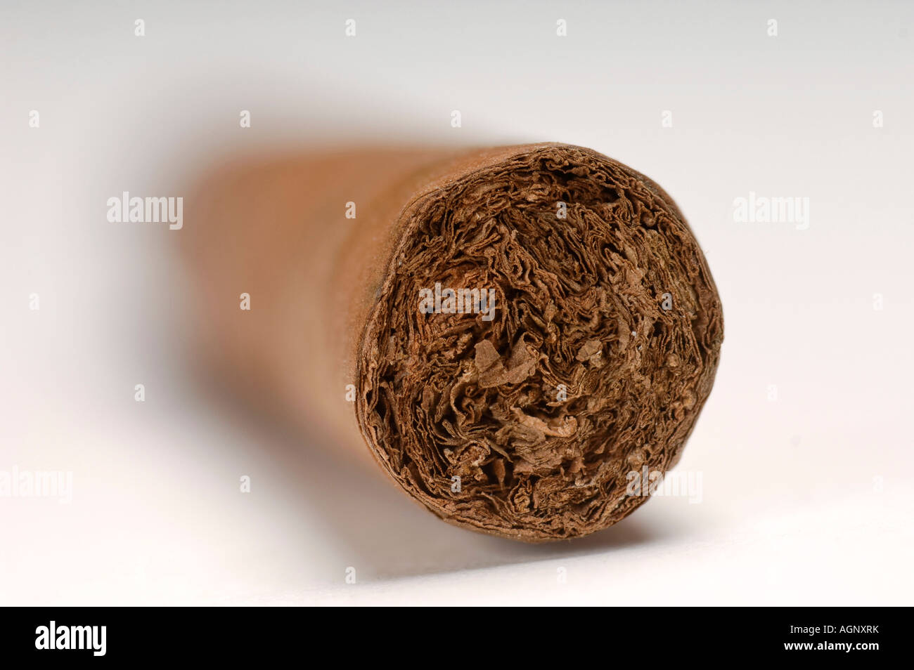Cigar end hi-res stock photography and images - Alamy