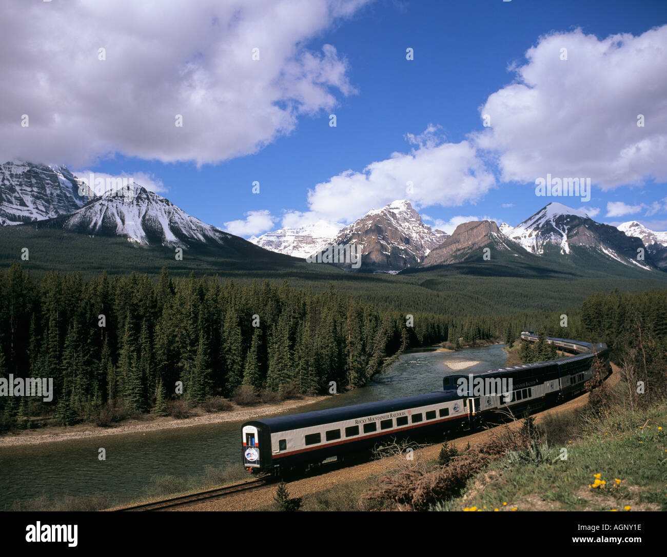 ROCKY MOUNTAINEER RAILTOURS TRAIN at Morant's Curve Alberta Canada ...