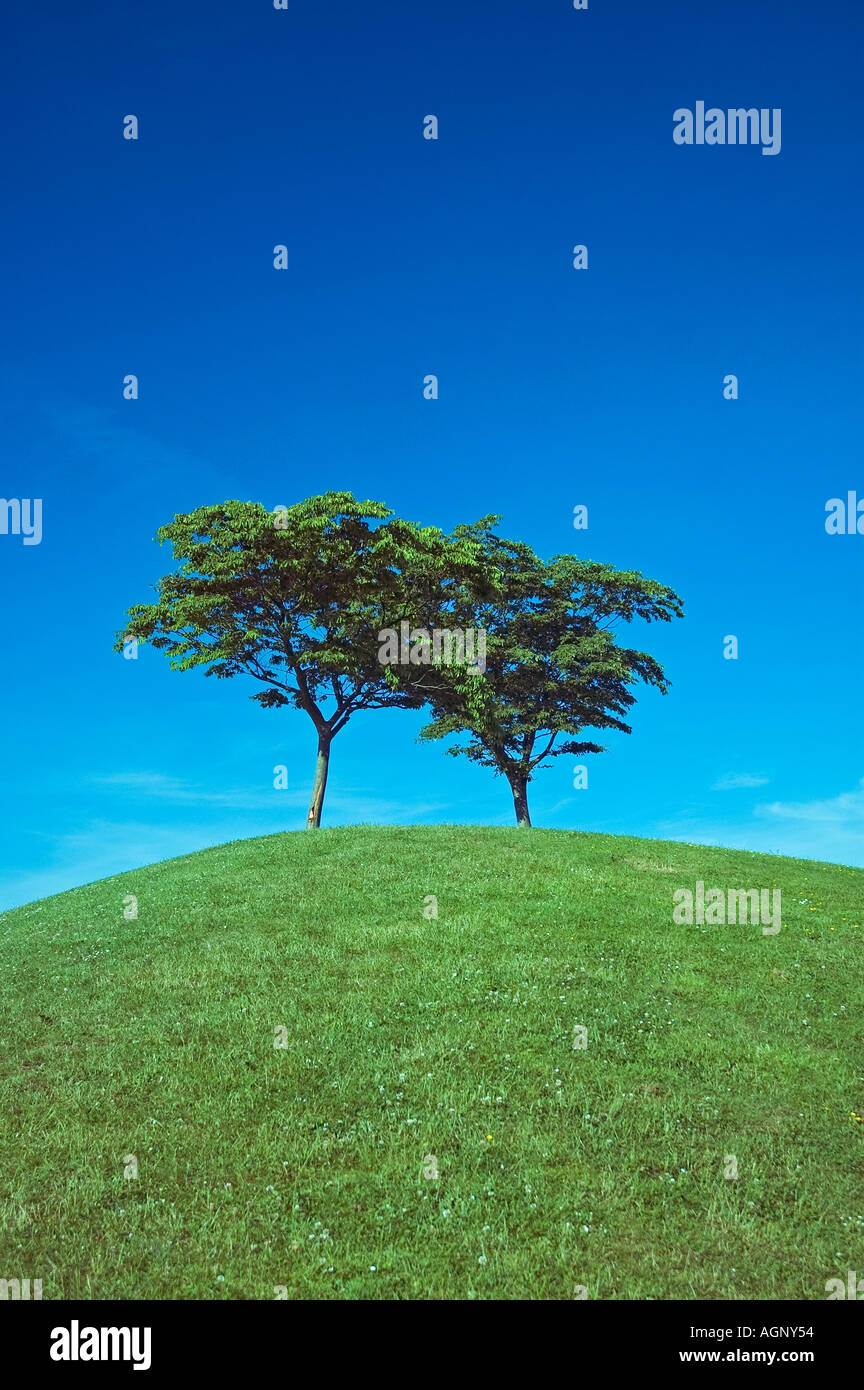 Hill two trees hi-res stock photography and images - Alamy