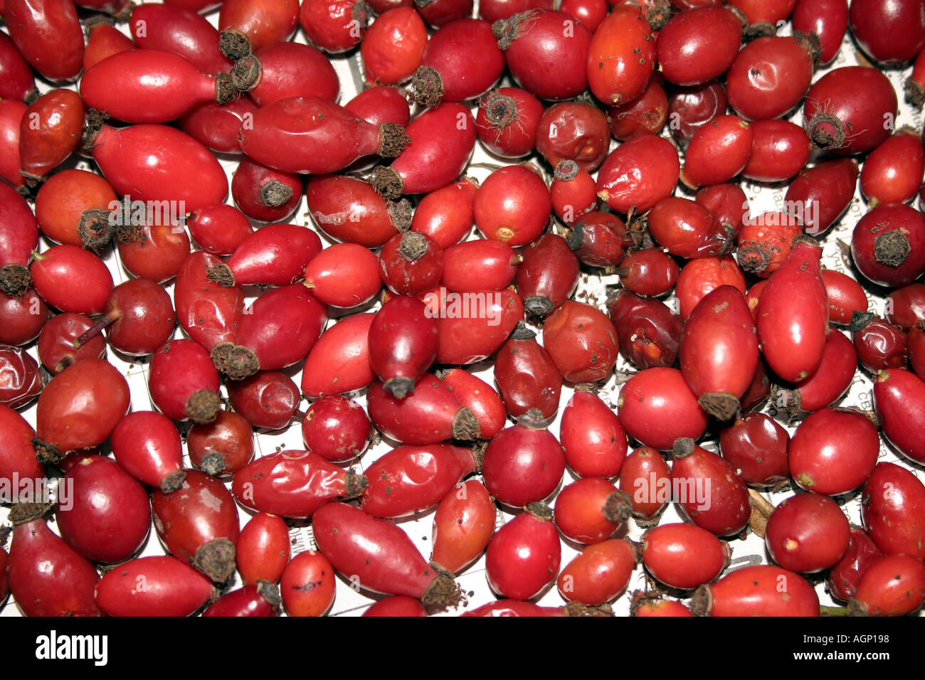 Wild fruits Stock Photo: 2646423 - Alamy