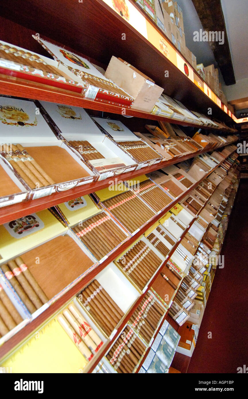 Cigars on display in a tobacco shop Stock Photo - Alamy