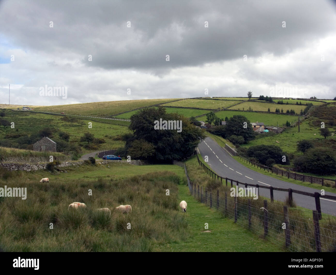 Typical Square Fields, Dartmoor National Park, Devon, England, UK, GB ...