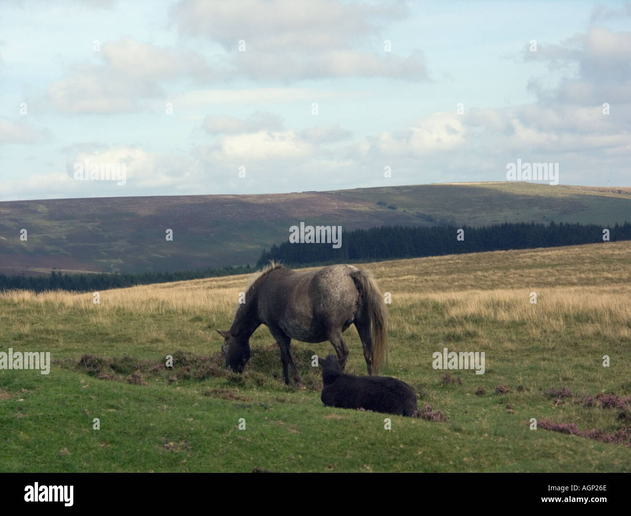 Rustic england uk english countryside great hi-res stock photography ...