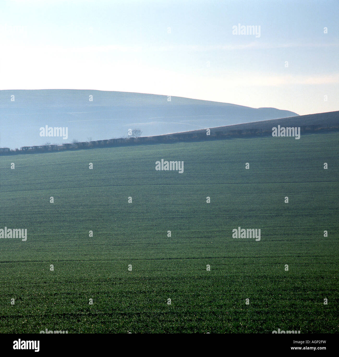Downland landscape of Salisbury Plain Stock Photo - Alamy