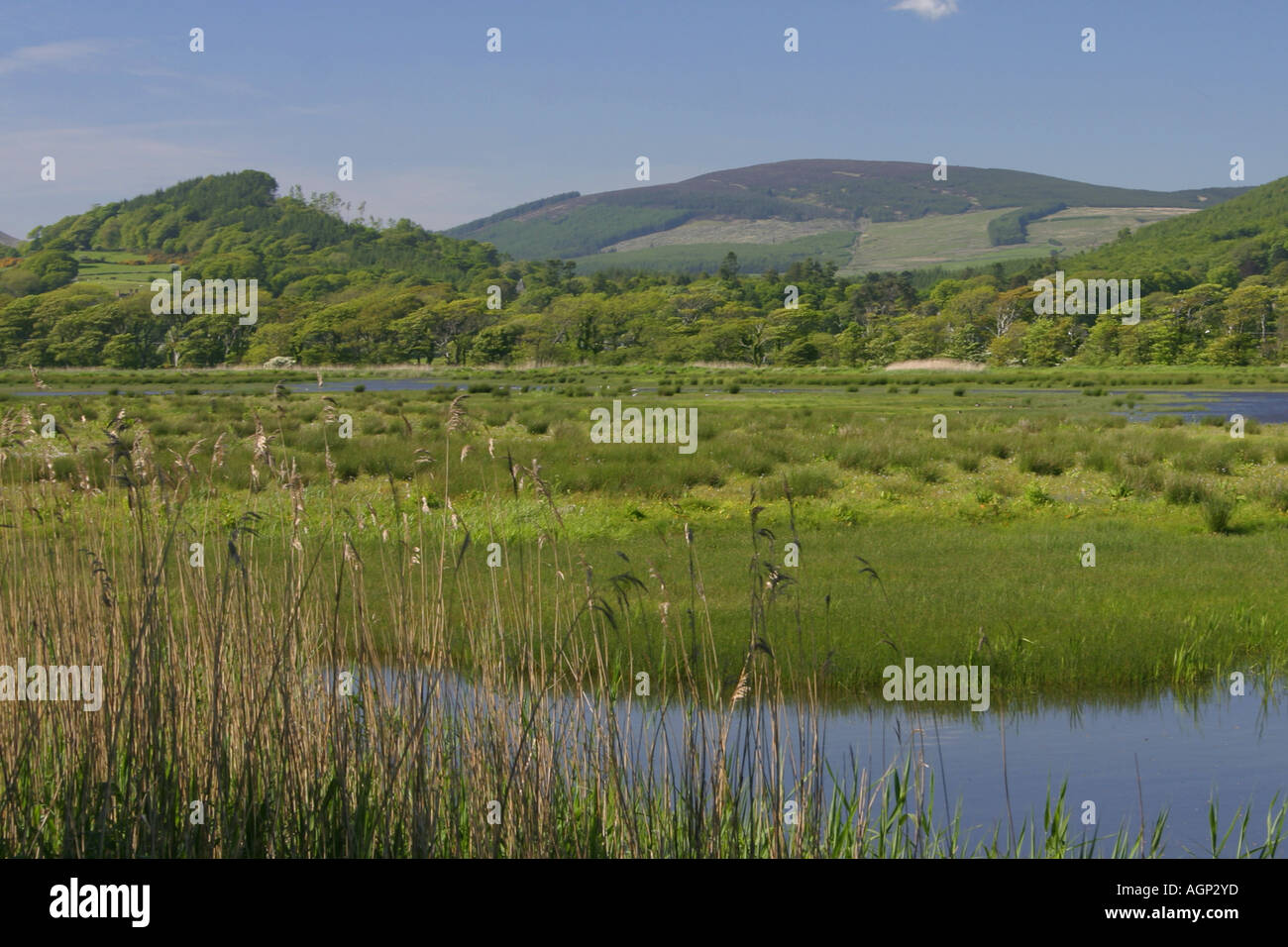 Mersehead rspb reserve hi-res stock photography and images - Alamy