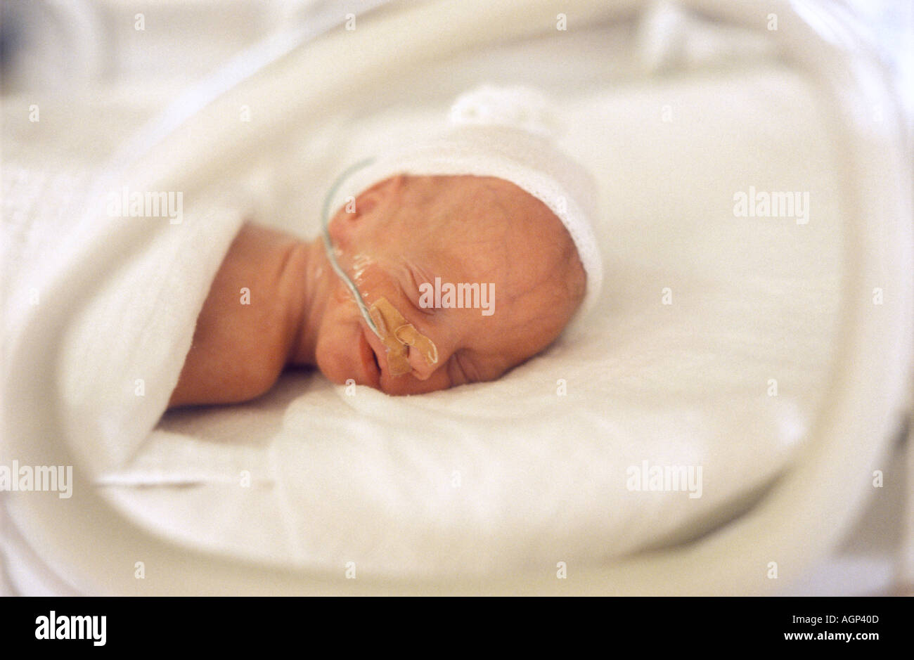 Premature baby in incubator Stock Photo - Alamy