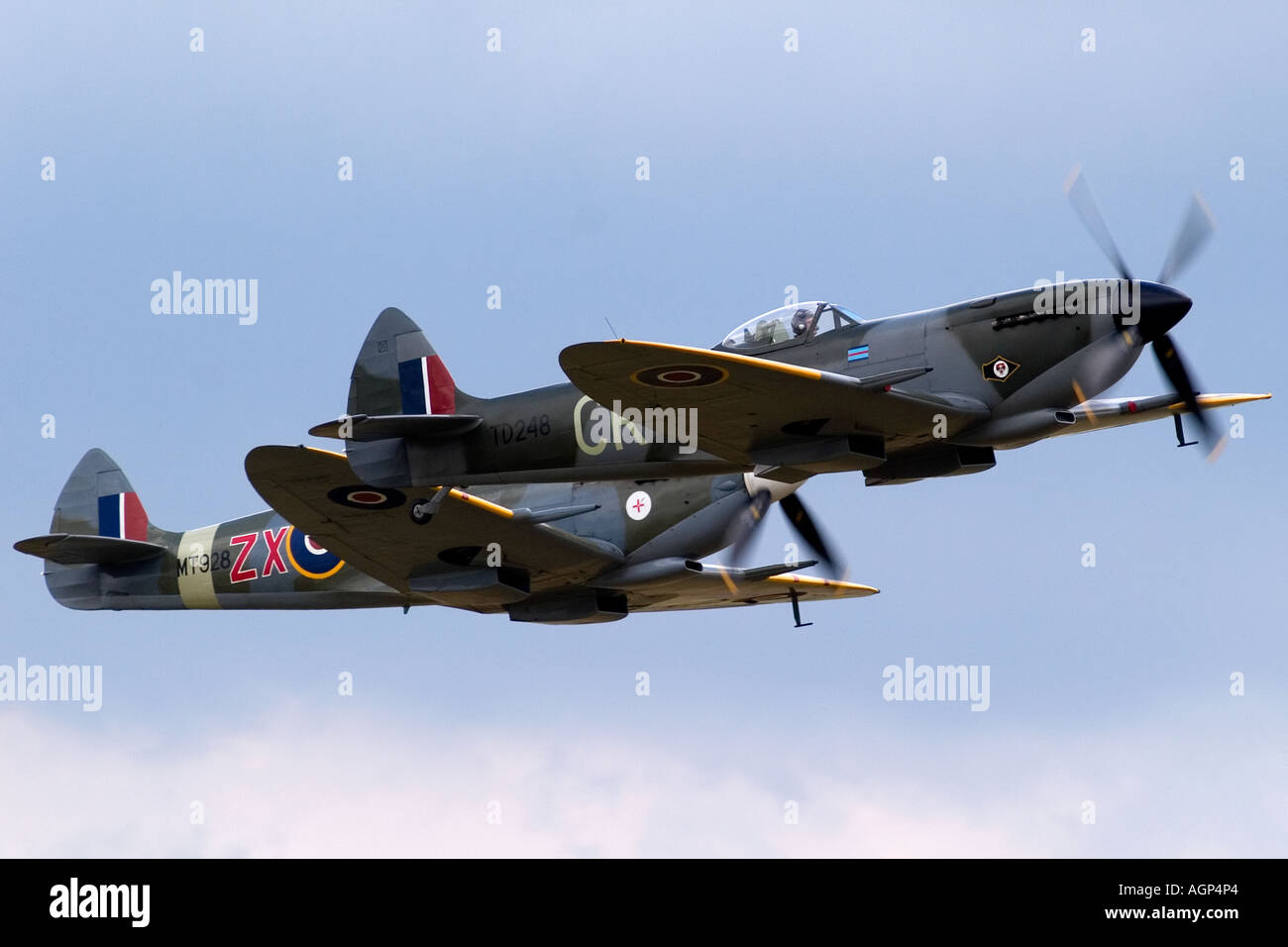 Spitfire VIII MT928 and Spitfire LF XVIE TD248 Stock Photo - Alamy