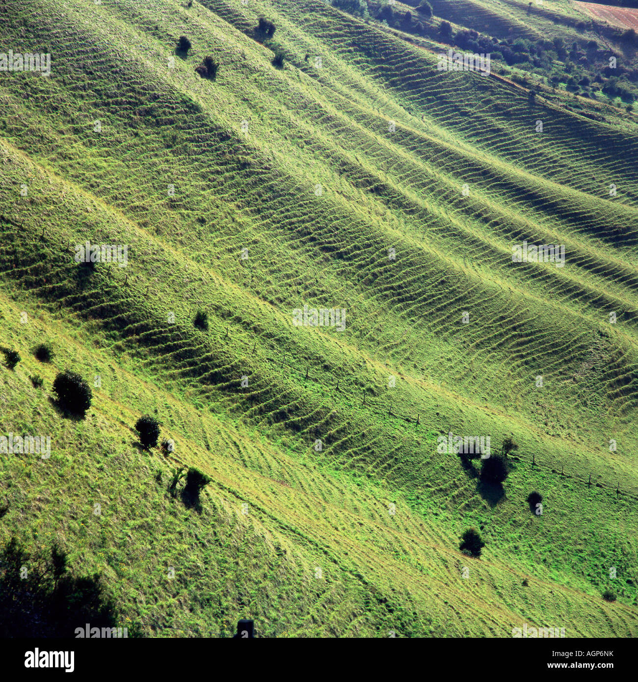 Terracettes on hillside, Salisbury Plain, England Stock Photo - Alamy