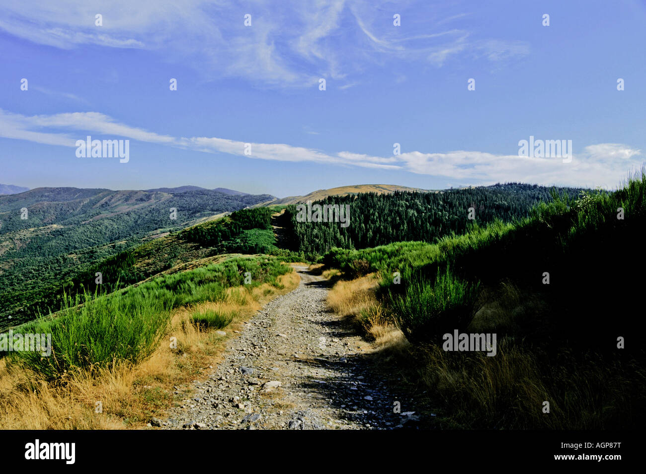 cevennes mountains national park lozere Stock Photo - Alamy