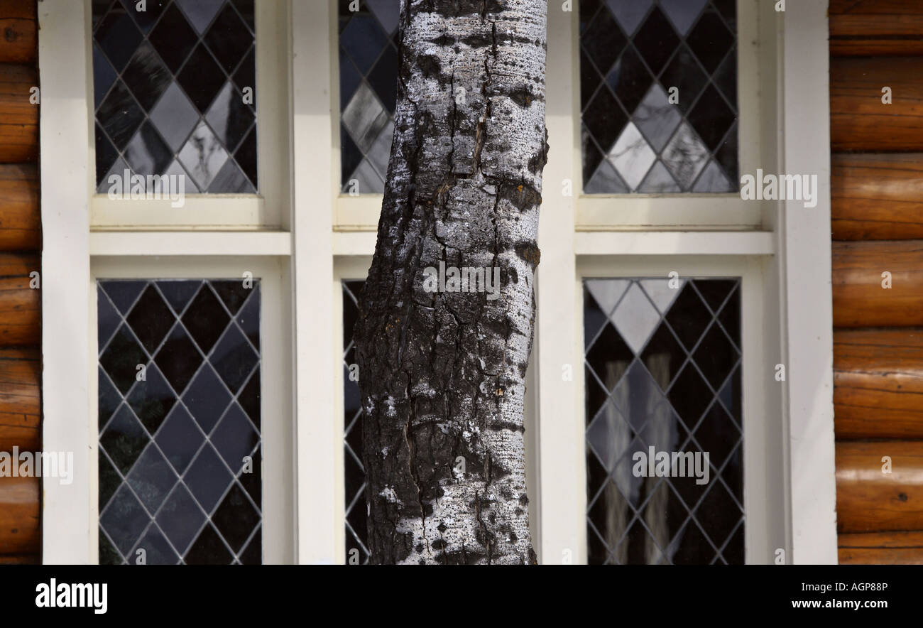 Stained glass windows Stock Photo - Alamy