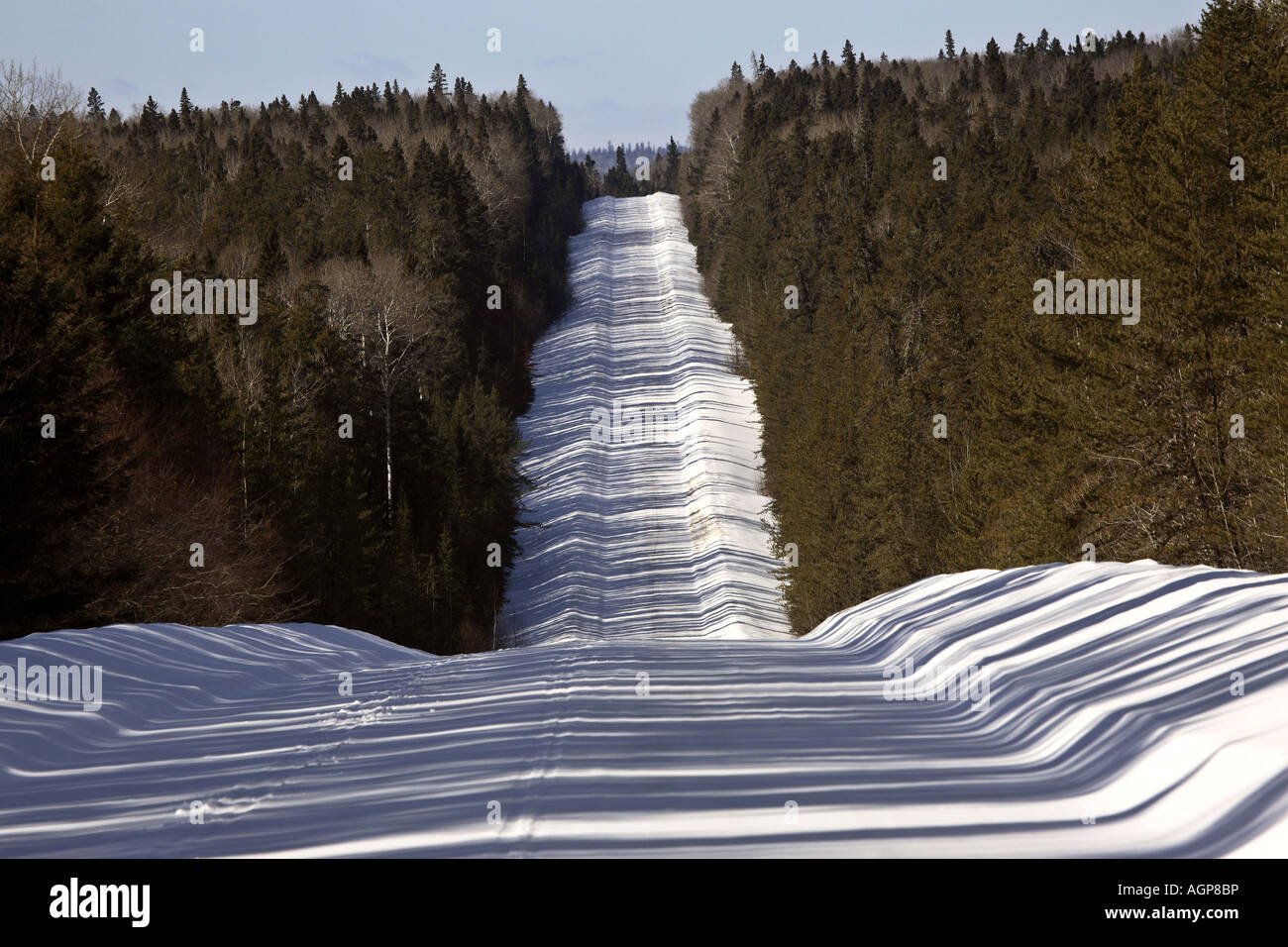 Logging In Saskatchewan High Resolution Stock Photography and Images ...
